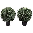 Amazon.com - Silk Tree Warehouse Company Inc Two 2 Foot Outdoor ...