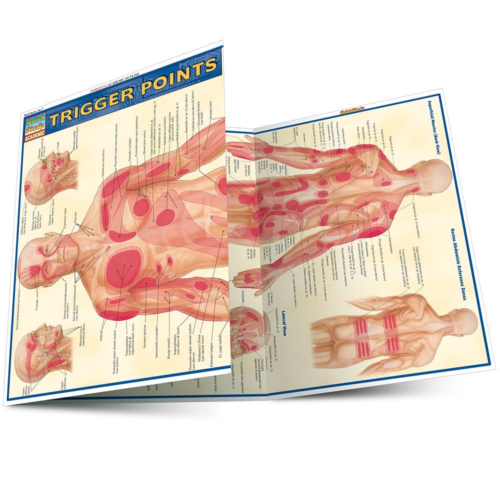 Mua Trigger Points Laminated Reference Guide (QuickStudy Academic) Trigger Points Laminated ...