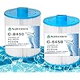 Amazon.com : C-8450 Spa Filter Cartridge Replacement for FC-3310 ...