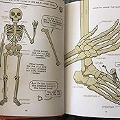 Amazon.com: Human Body Theater: A Non-Fiction Revue (9781596439290 ...