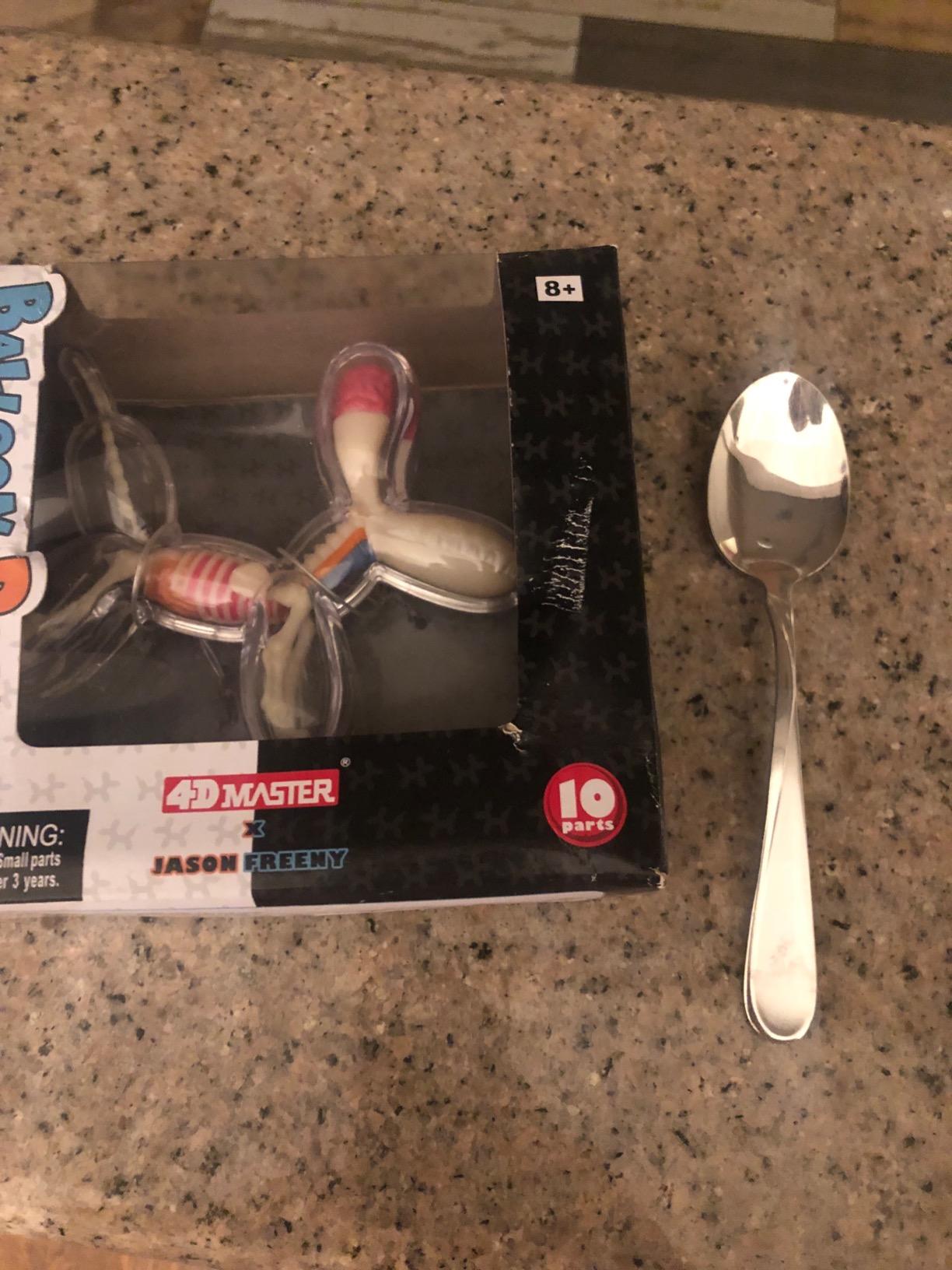 $4/mo - Finance Mini Balloon Dog Skeleton Anatomy Model by Jason Freeny ...