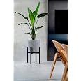 Amazon.com : Vita 14 inch Round Vaxa Self-Watering Planter, Color ...