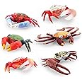 Amazon.com: Hiawbon 6 PCS Realistic Crab Figurine Plastic Marine Animal ...
