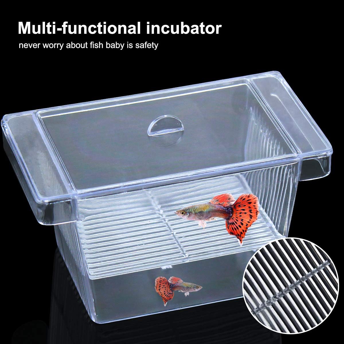 Kissral Fish Breeding Box Baby Fish Hatchery with Lid Transparent ...