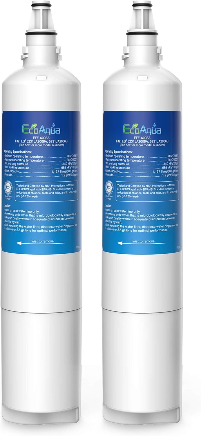 Amazon.com: EcoAqua EFF-6003A Replacement Filter, Compatible with LG ...