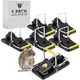 Amazon.com : TwinTech Stainless Steel Mechanical Mouse Traps - 4"x2"x2 ...