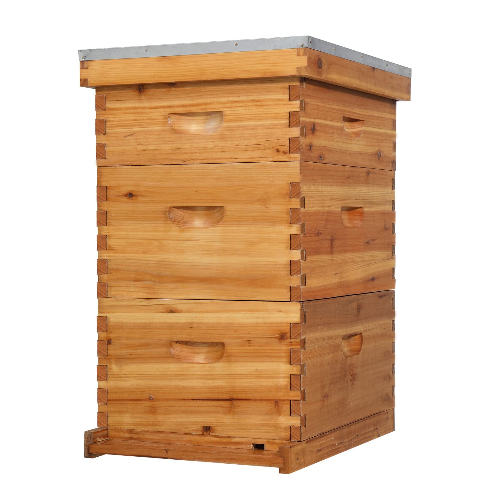 Mua 10-Frame Bee Hive, Wax Coated Beehive Starter Kit with Frames ...