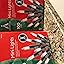 Amazon.com: Holiday Wonderland #565223 100-Count Multi Color Christmas ...