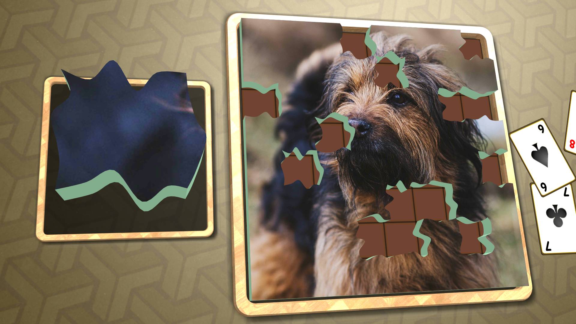Jigsaw Solitaire - Dogs FireTV:Amazon.com:Appstore for Android