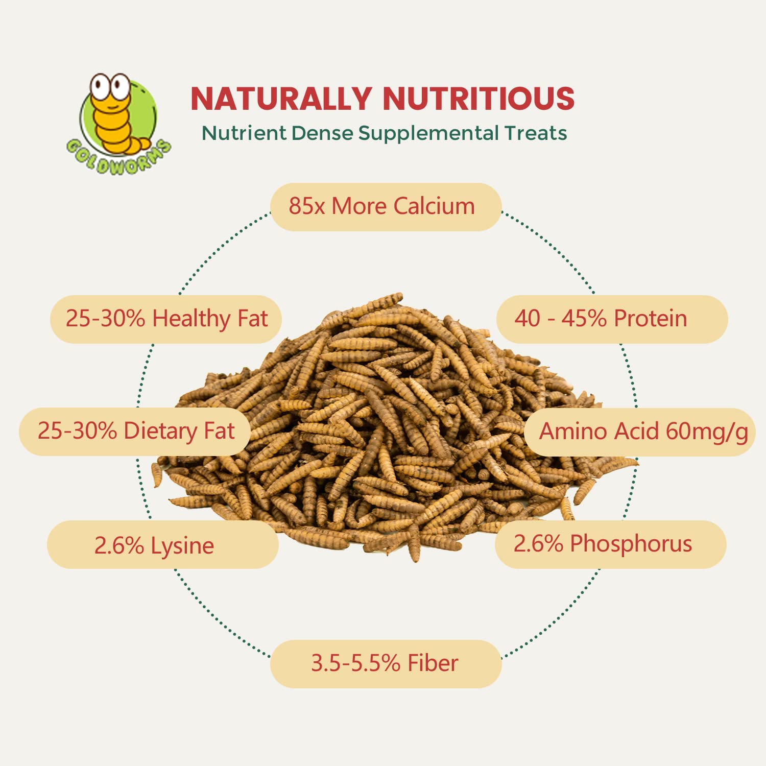 Mua 2LBS BSF Larvae Superior to Dried Mealworms for Chickens - Dried ...