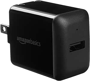 Amazon.com: Amazon Basics One-Port USB Wall Charger for Phone, iPad ...