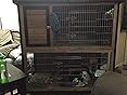 Amazon.com: Kaytee Rabbit Hutch, 2-Story, 48-Inch Wide: Garden & Outdoor