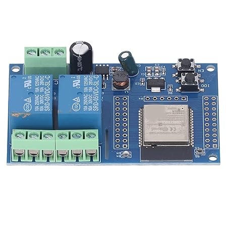 Mua Relay Board, DC5-60V Power Supply Dual Relay Module Development ...