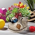 Amazon.com : wsmart Cute Planter Pot suitable for indoor and outdoor ...