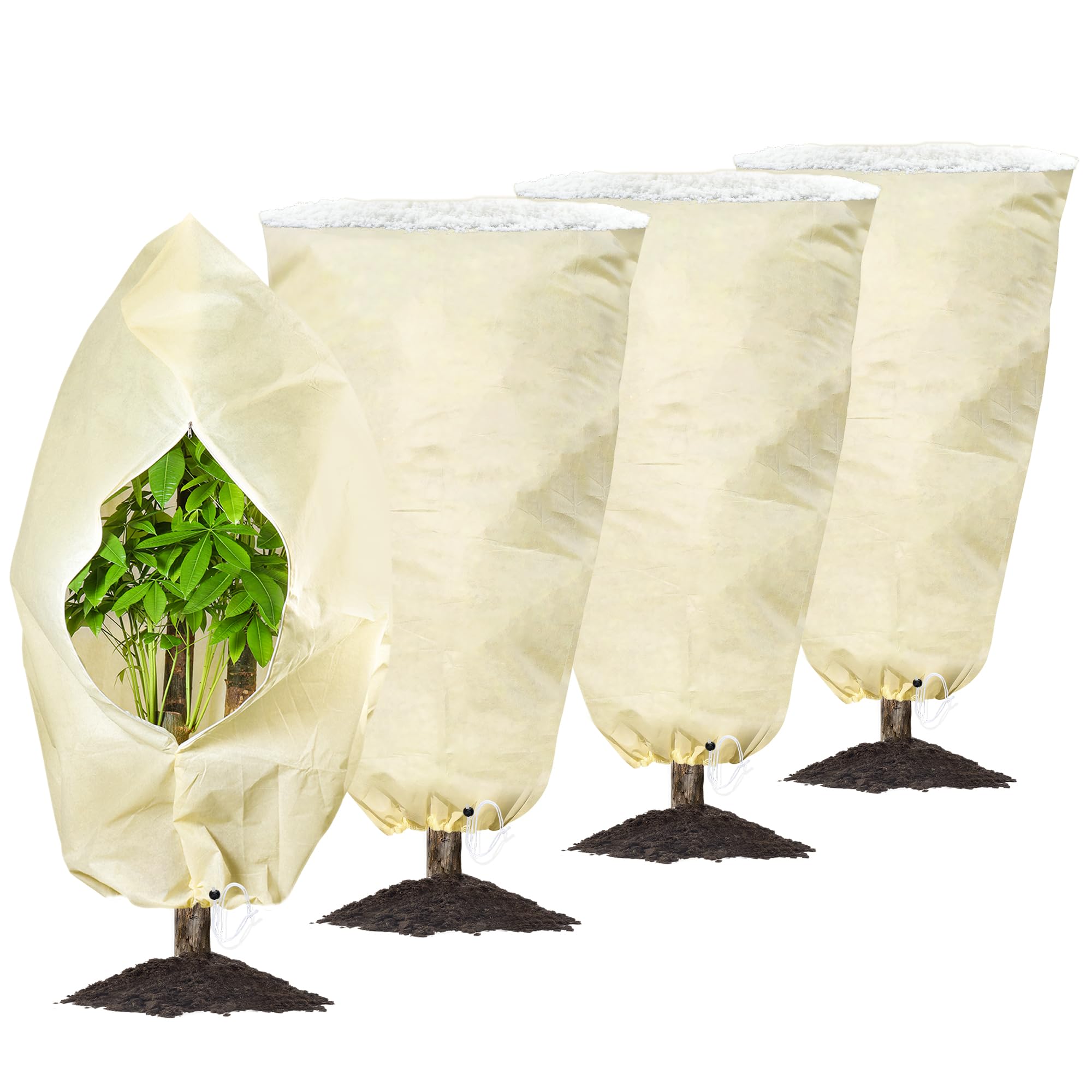 plants | Nellis Auction