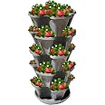 Amazon.com: 5-Tier Stackable Strawberry Garden – 24 Quart Indoor ...