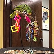 Amazon.com : Bonka Bird Toys 1040 Foraging Star Forage Shredding Parrot ...