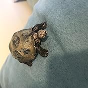Amazon.com: Schleich Giant Tortoise: Schleich: Toys & Games