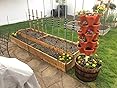 Amazon.com: LARGE Vertical Gardening Stackable Planters by Mr. Stacky ...