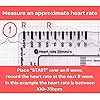ECG 7 Step Ruler, ECG 7 Step Ruler for ECG/EKG Interpretation, EKG ...