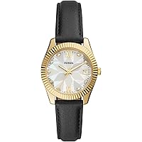 Amazon.com: Fossil Women's Raquel Quartz Stainless Steel Three-Hand ...