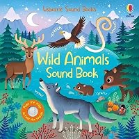 Things That Go Sound Book: 9781474990707: Amazon.com: Books