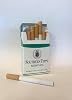 SOUTHERN TIPPS Menthol Herbal Cigarettes (20 Sticks) – Tobacco ...