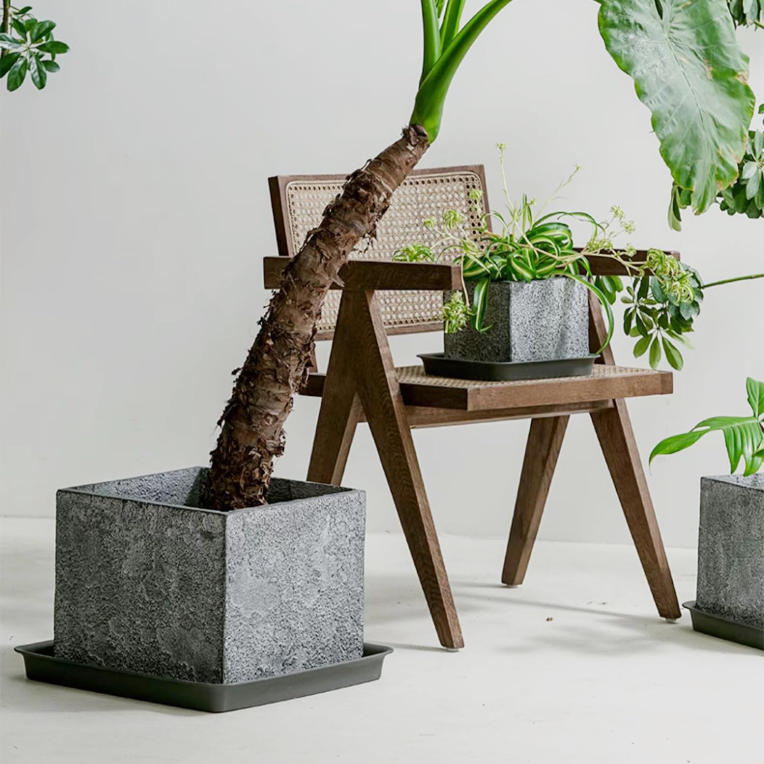 Square Plant Saucer 8 Inch 5 Pack Heavy Plastic Plant Trays for Pots ...