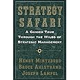 Amazon - Strategy Safari: A Guided Tour Through The Wilds of Strategic ...