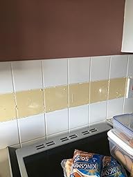 Biostrip 20 Paint Stripper 500ml, paint remover. Water based solution ...