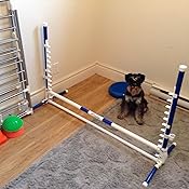 Clip and Go Portable Folding Dog Agility Ready Jump Equipment(106662 ...