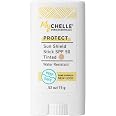Amazon.com: Sun Shield Stick SPF 50 TINTED : Everything Else