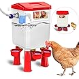 Amazon.com: Lilyang Float-Controlled Automatic Chicken Waterer for Continuous Fresh Water, Self ...