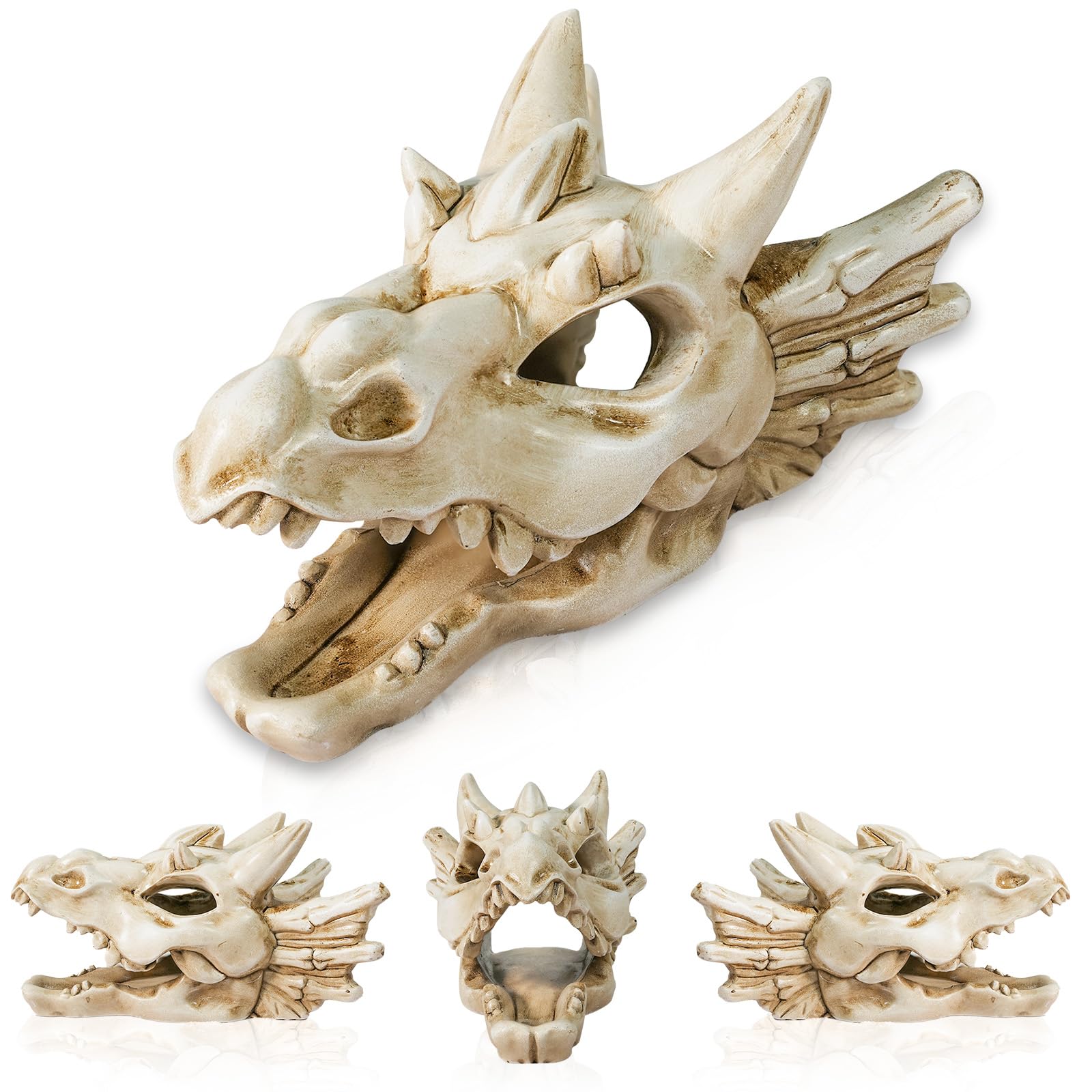 Warmtree Dragon Skull Animal Skulls Mini Skulls Dinosaur Skull Aquarium ...