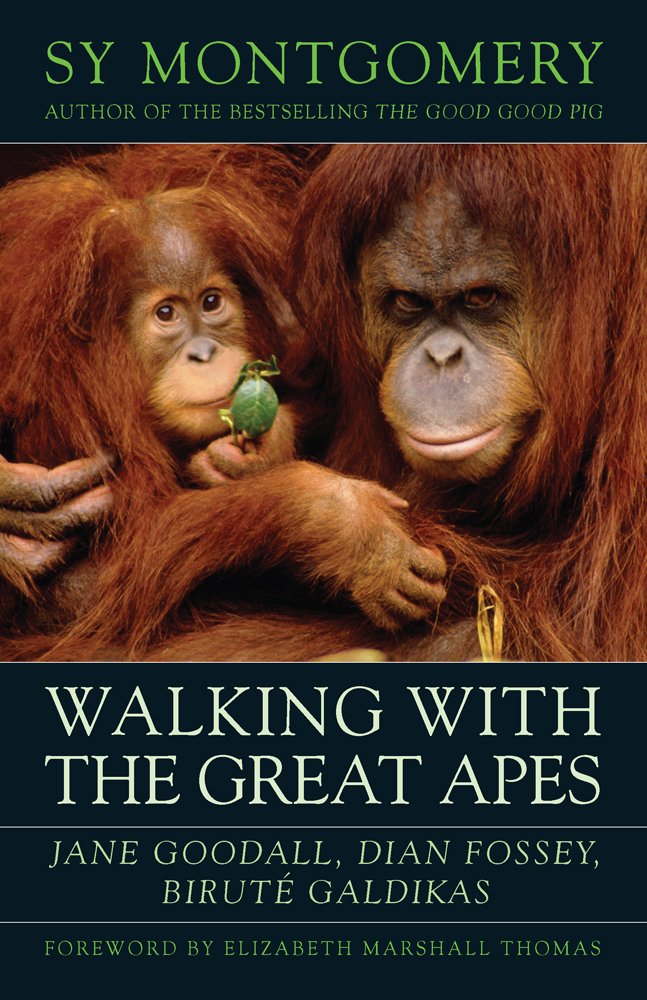 How To Calculate Half Life Apes
