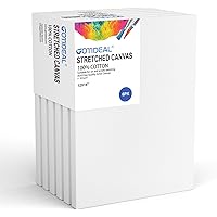 Amazon.com: U.S. Art Supply 16 x 20 inch Stretched Canvas Super Value 5 ...