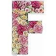 Amazon.com: 2FT Letter F Mosaic Balloon Frame Letter DIY Fillable ...