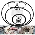 Amazon.com: Bonbo Pool Pump Gasket Seal O-Ring Rebuild Repair Kit ...