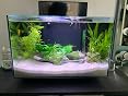 Aqua One PLATFORM 21 Aquarium Fish Tank 40cm 21L : Amazon.co.uk: Pet ...