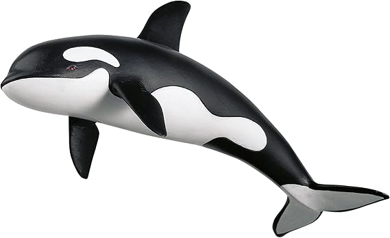 Schleich Killer Whale: Amazon.co.uk: Toys & Games