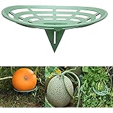 Amazon.com : Sabary 50 Pack Melon Cradles Plant Pumpkin Support ...