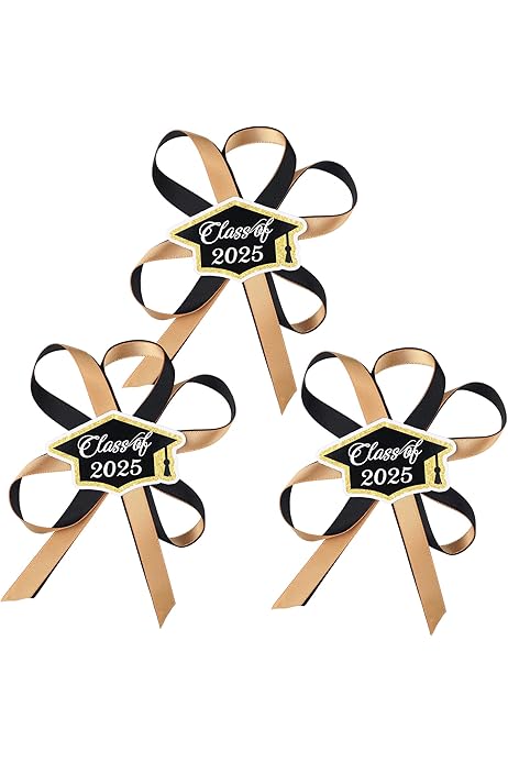 Class Of 2025 Pins Class Of 2024 Tinplate Badge Pin, Congrats Grad ...