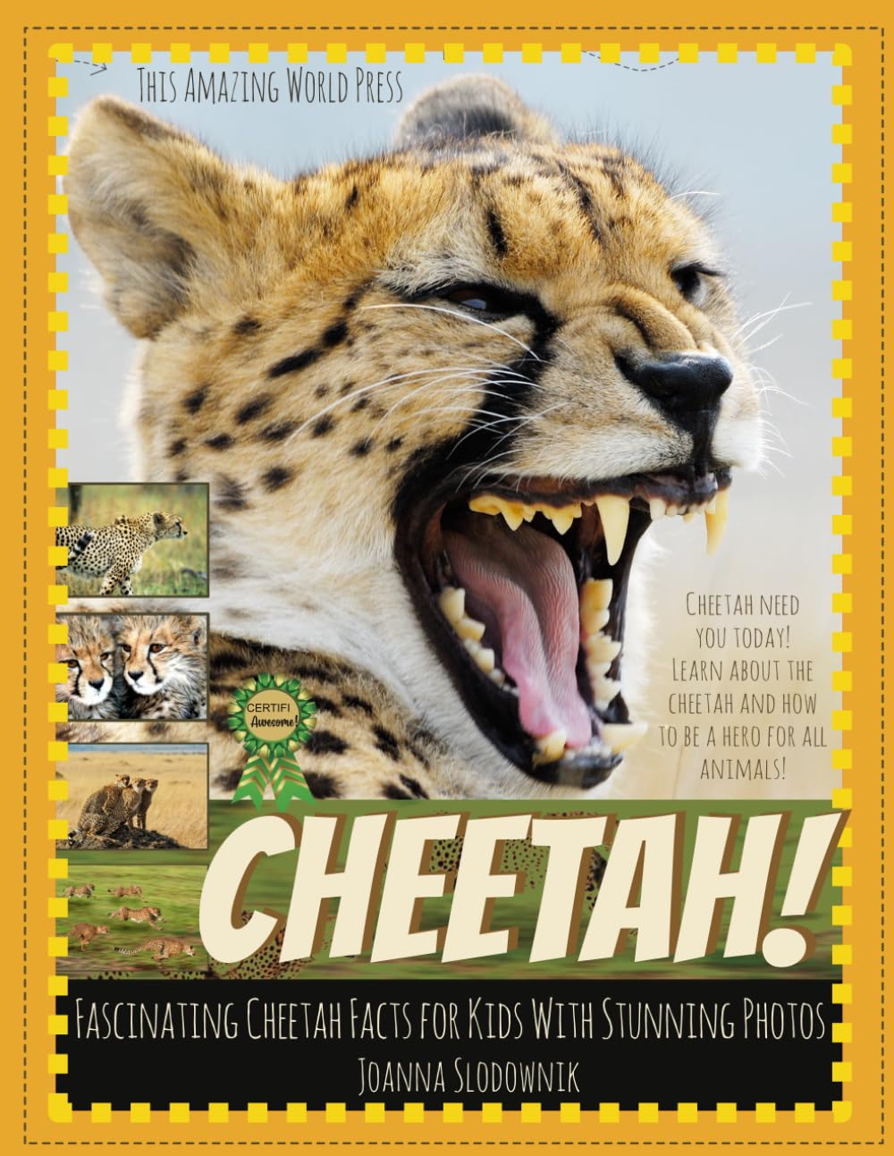 Mua Cheetahs! Fascinating Cheetah Facts for Kids with Stunning Photos ...