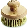 Amazon.com : The Body Shop Round Body Brush : Cactus Hair Brush ...