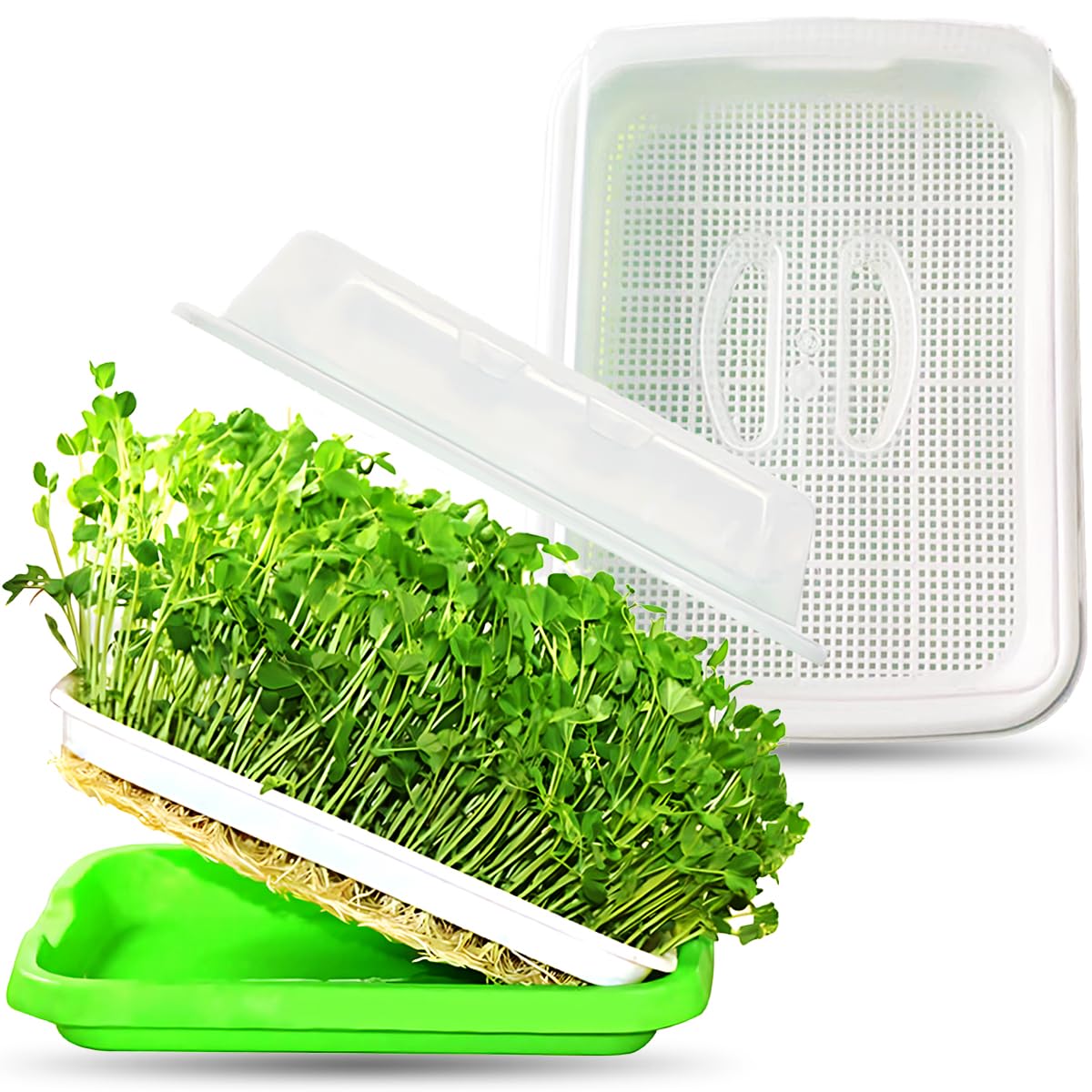 LeJoy Garden 2 Packs Seed Sprouter Tray BPA Free PP Soil-Free Big ...