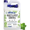Amazon.com : Mighty Mint - 16oz Insect and Pest Control Peppermint Oil ...