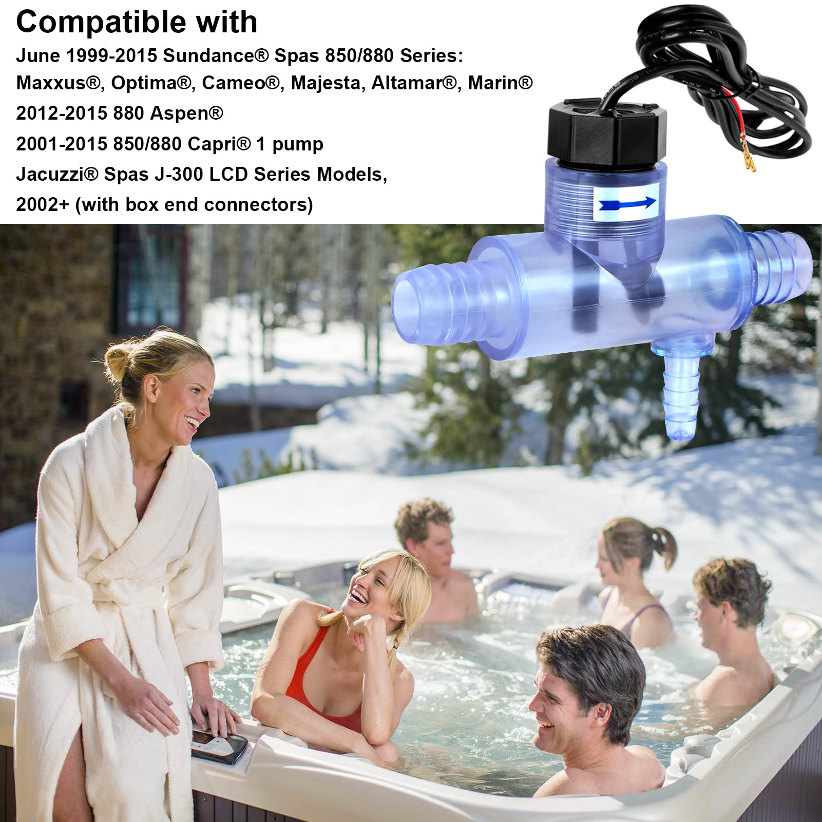 Mua Flow Switch for Sundance Spa and Jacuzzi Hot Tub, Flow Switch ...