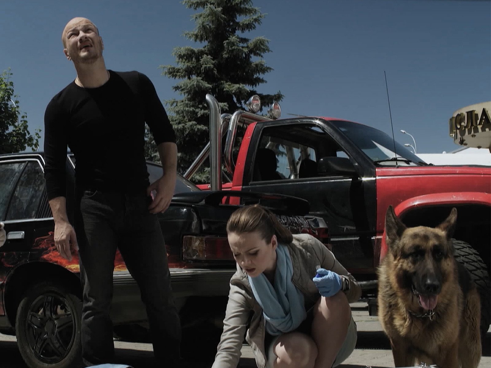 Watch The Dog | Prime Video