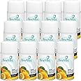 Amazon.com: TimeMist Citrus Active Air Freshener 1042781 (Case of 12 ...