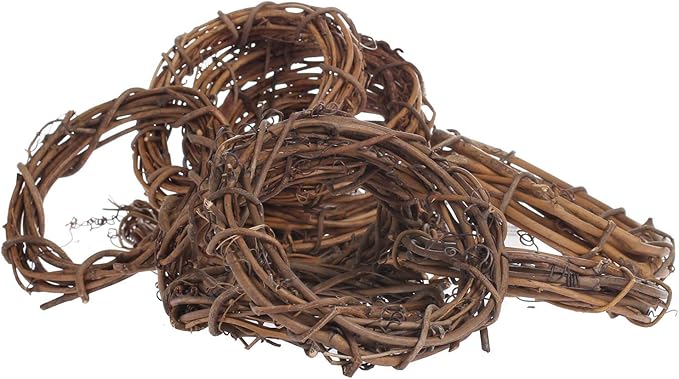 Amazon.com: Factory Direct Craft Group of 12 Natural Dried Grapevine ...